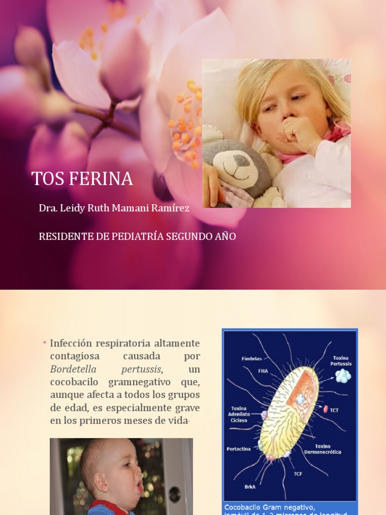 Tos Ferina | PDF | Microbiología | Enfermedades y trastornos