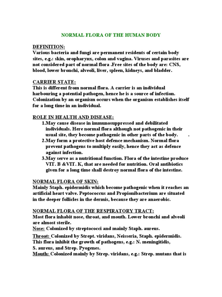 Normal Flora of The Human Body | PDF | Streptococcus | Staphylococcus
