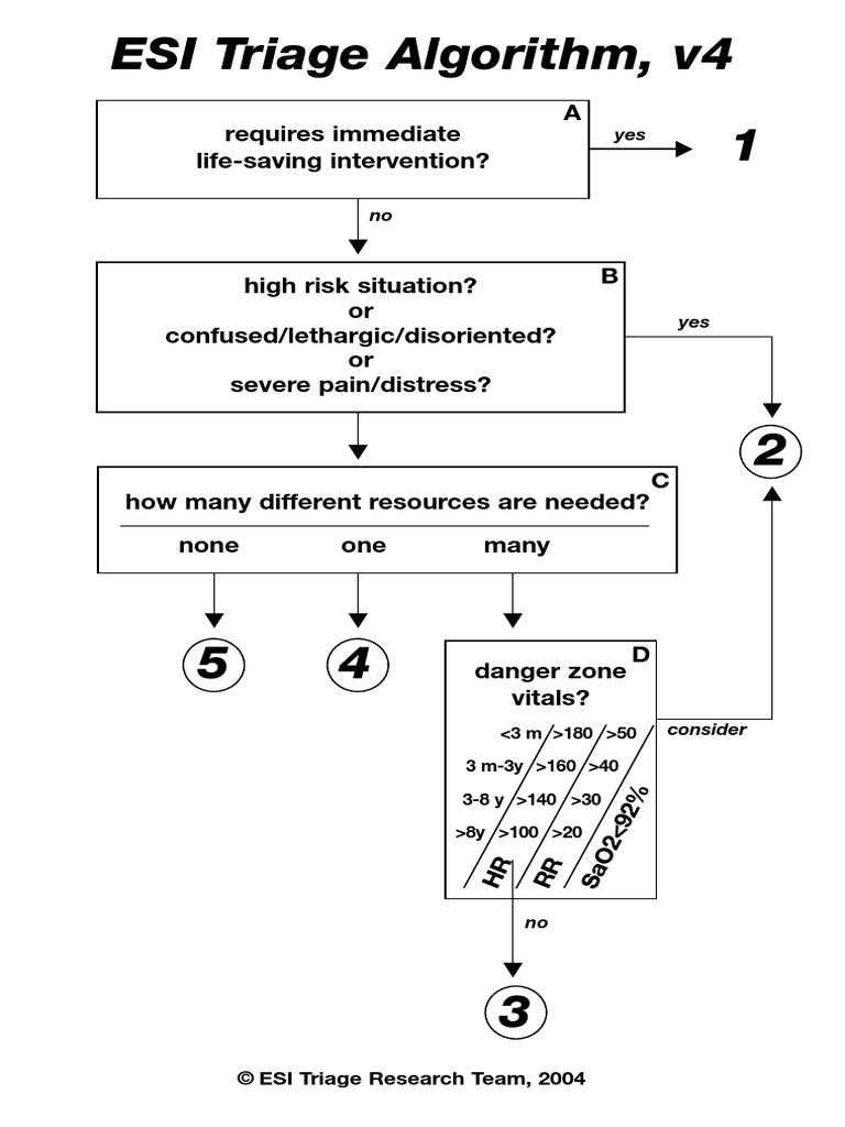 Es I Algorithm Poster | PDF | Pain | Medical Specialties