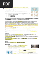 Facies Algicas | PDF | Anatomía humana | Especialidades Medicas
