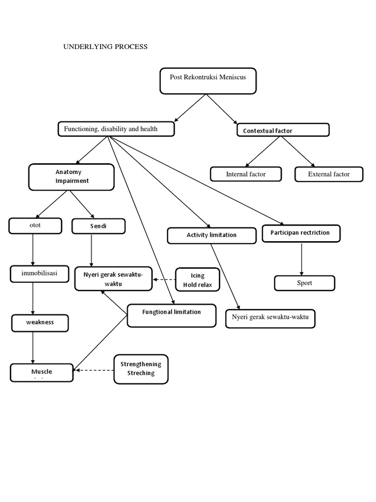 UNDERLYING PROCESS Meniscus | PDF