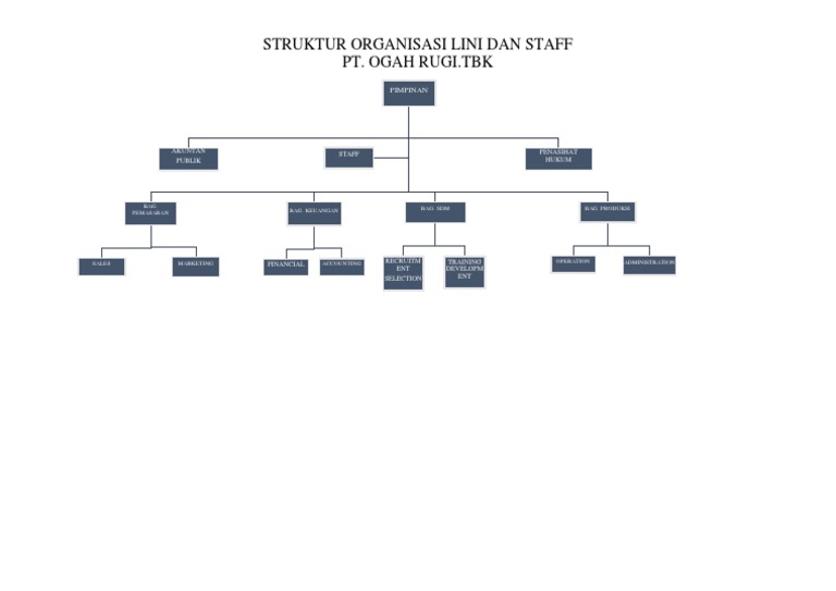 Struktur Lini Dan Staff | PDF | Business