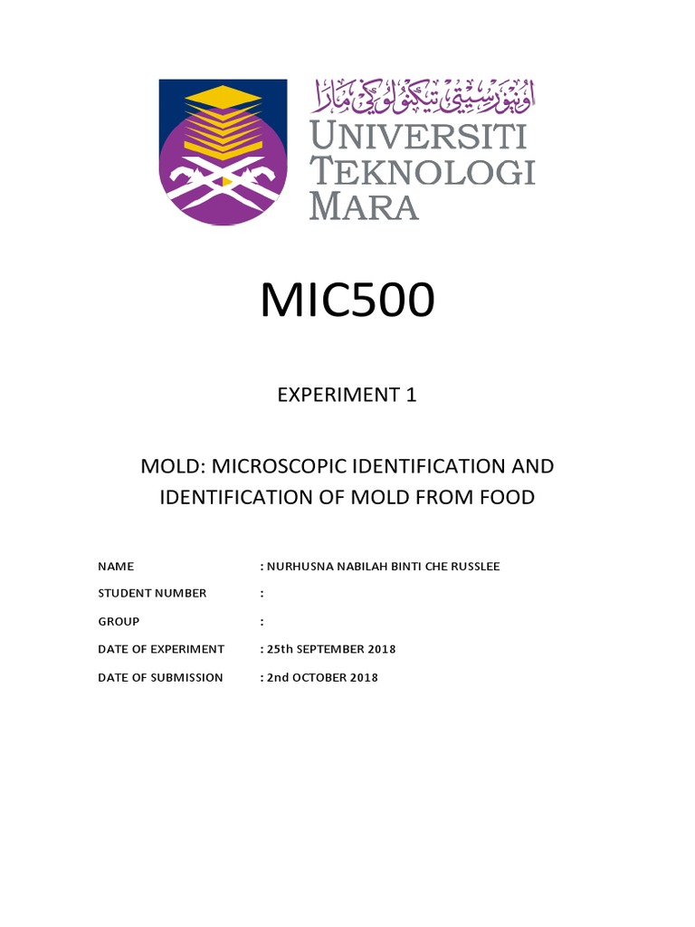 Microscopic Identification of Molds | PDF | Mold | Fungus