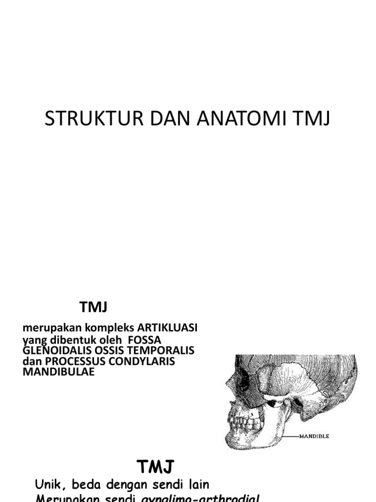 Struktur Dan Anatomi TMJ | PDF