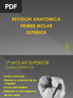Curva de Spee y Wilson | PDF | Ortodoncia | Odontología