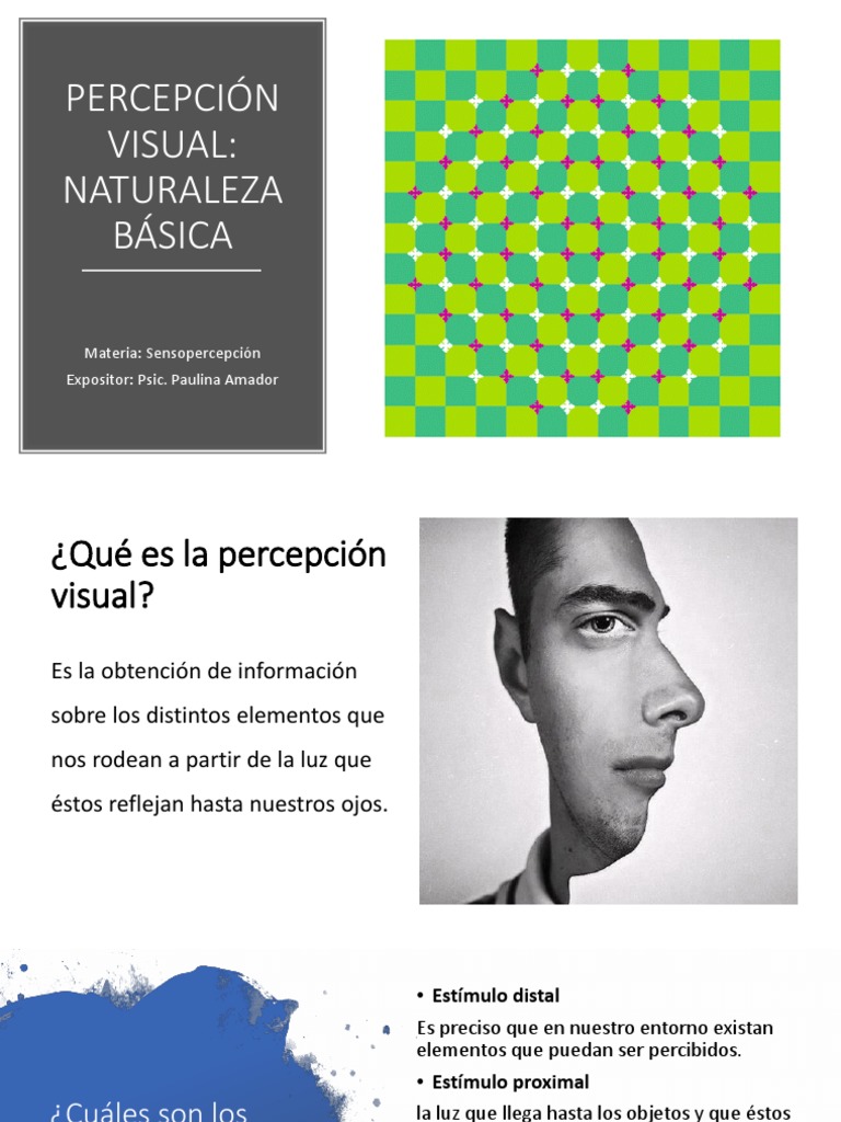 Percepción Visual Y Auditiva Pdf Sonido Percepción Visual