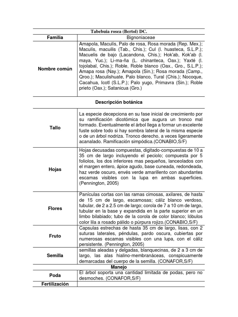 Maculis | PDF | Tallo de la planta | Arboles