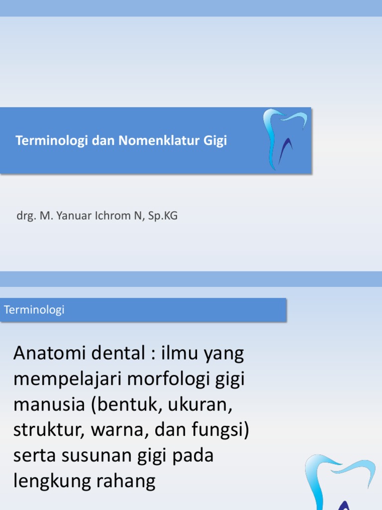 Terminologi Dan Nomenklatur Gigi | PDF