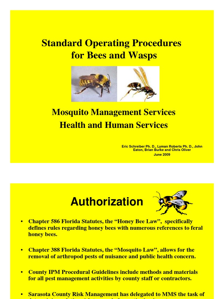 Bees and Wasps | PDF | Wasp | Bees
