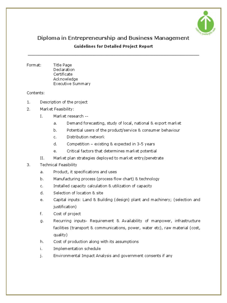 Guidelines For Detailed Project Report | PDF | Market (Economics) | Risk