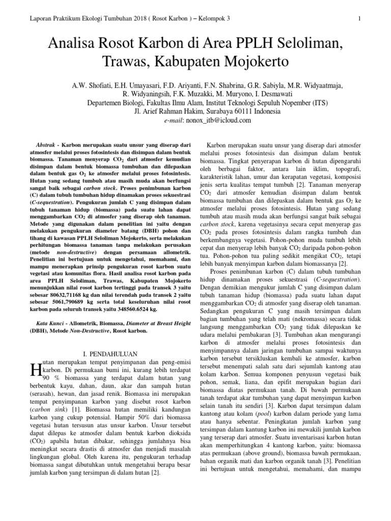 Laporan Rosot Karbon Kelompok 3 | PDF