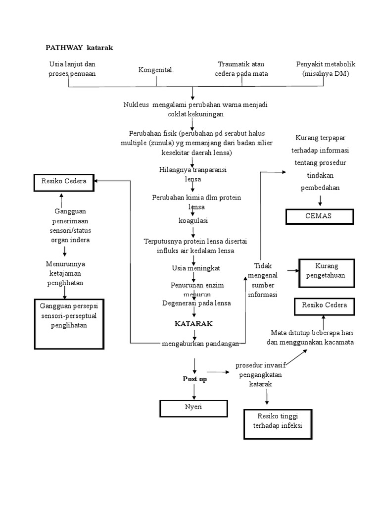Pathway & Legal Etik KATARAK | PDF