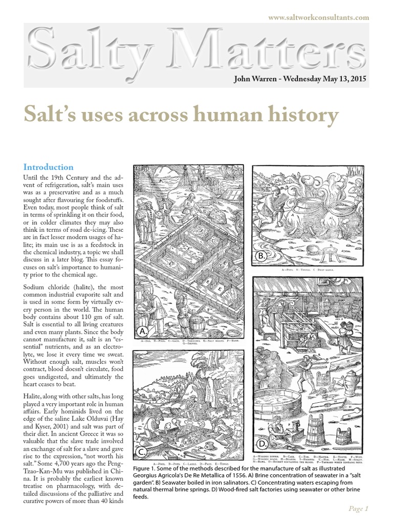 History of Salt Usage | PDF | Venice | Mummy
