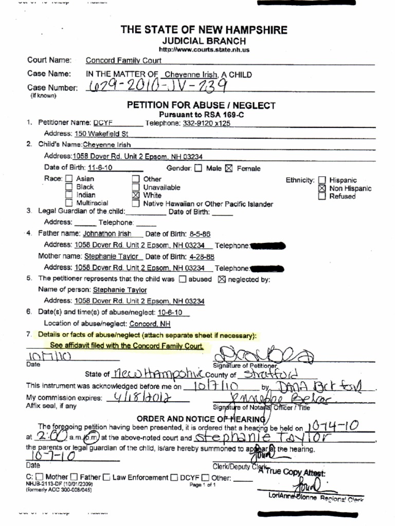 Irish Family Affidavit | PDF | Legal Guardian | Child Custody