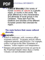 Cultural Erasure Retention and Renewal | PDF | Culture (General)