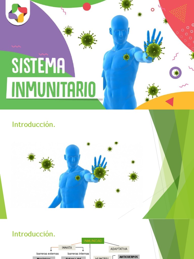 Sistema inmunitario | Sistema inmune | Linfocitos