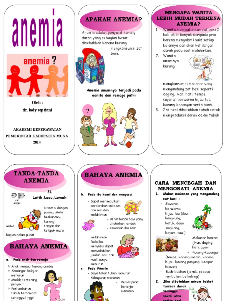 Leaflet Anemia | PDF