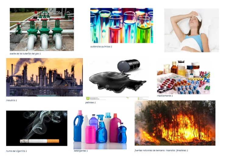 Collage de Química en la Vida Cotidiana | PDF