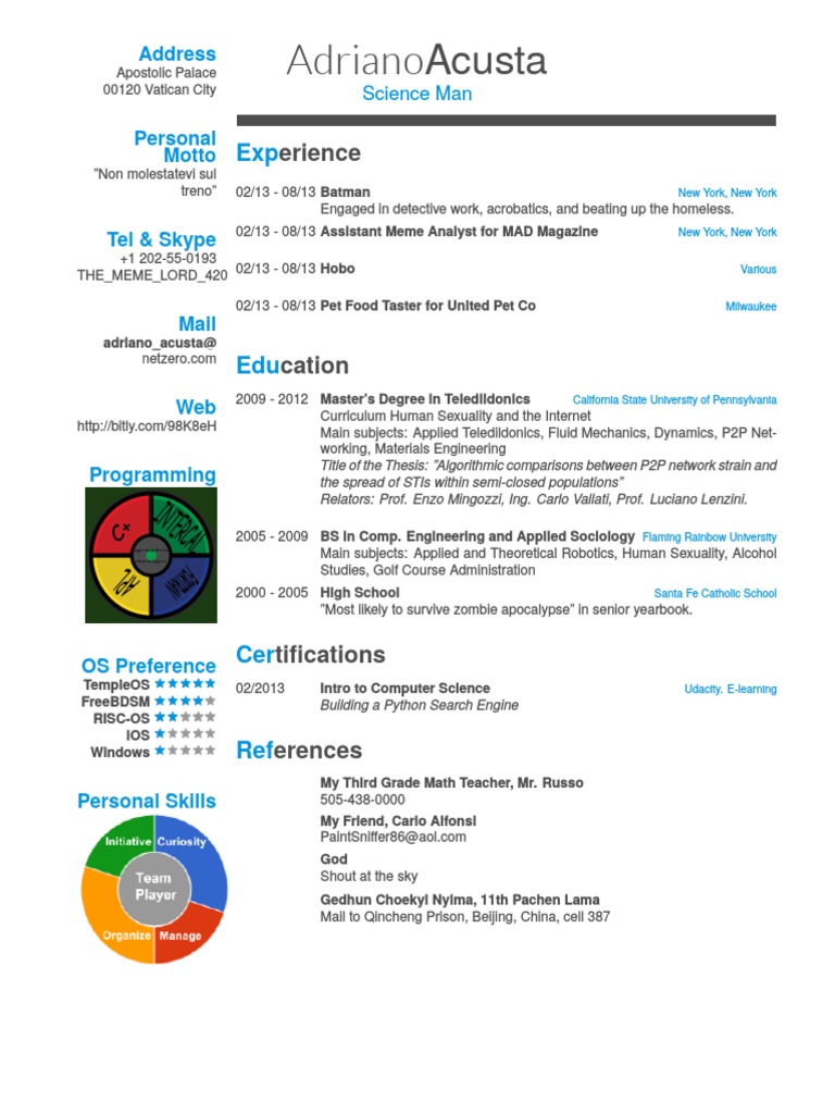 Fake Resume | PDF | Internet