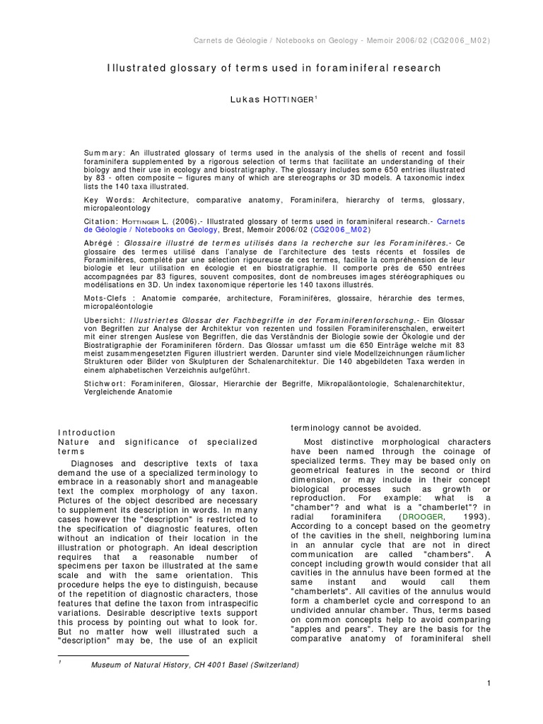 Forams Terms | PDF | Taxonomy (Biology) | Organisms