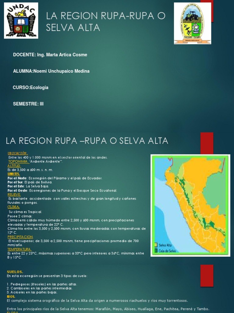 La Region Rupa-Rupa o Selva Alta | PDF