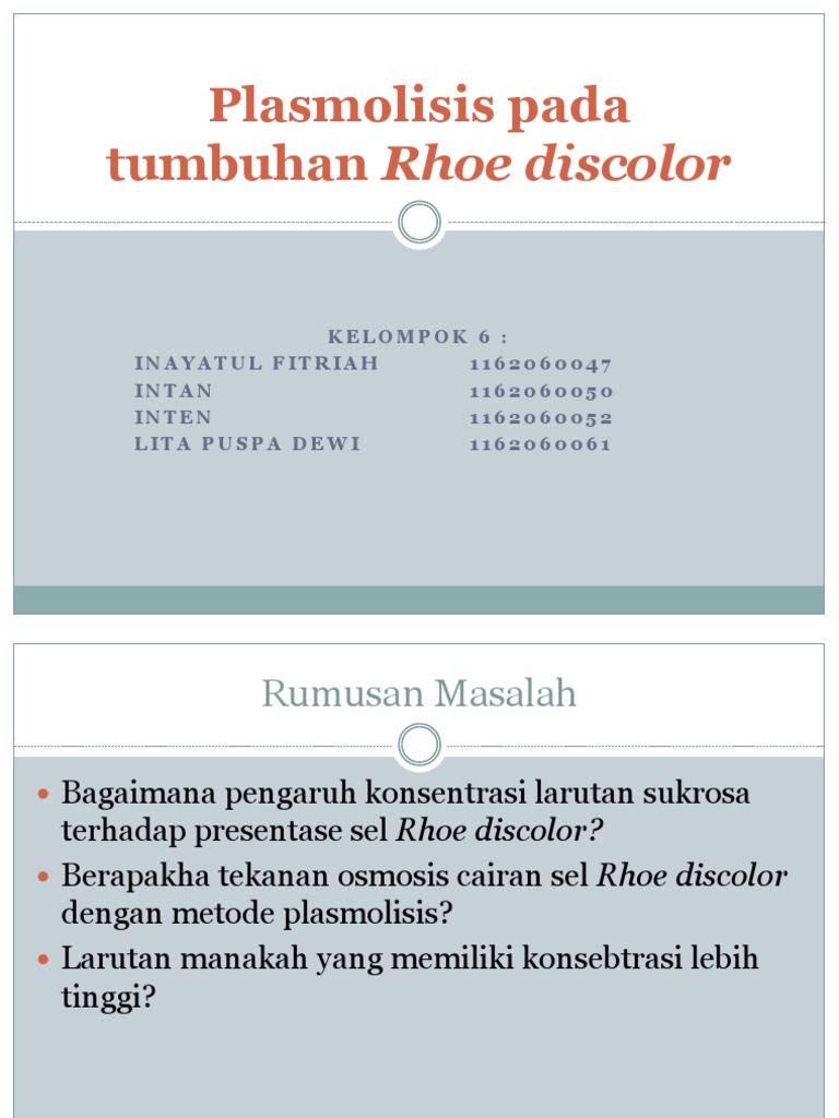 Plasmolisis Pada Tumbuhan Rhoe Discolor | PDF