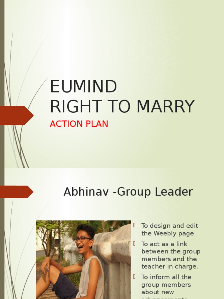 Eumind Right To Marry: Action Plan | PDF