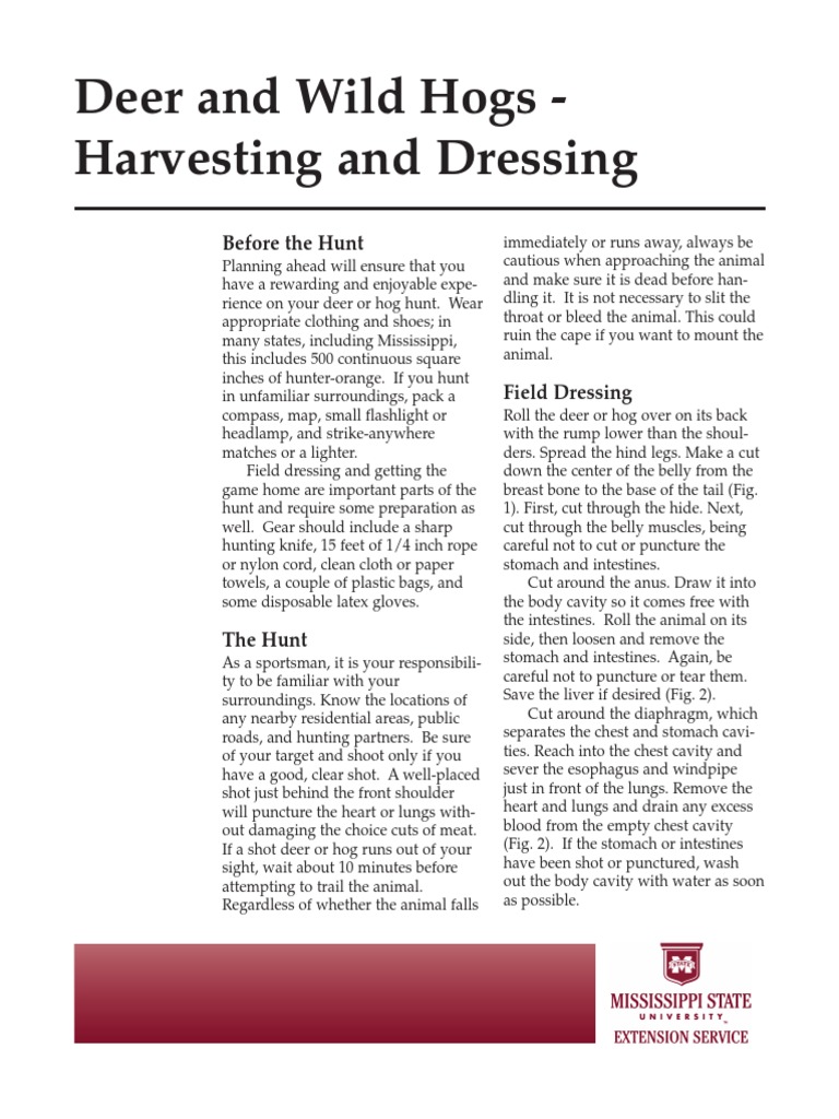 Butchering Deer and Wild Hogs PDF | PDF | Pig | Thorax