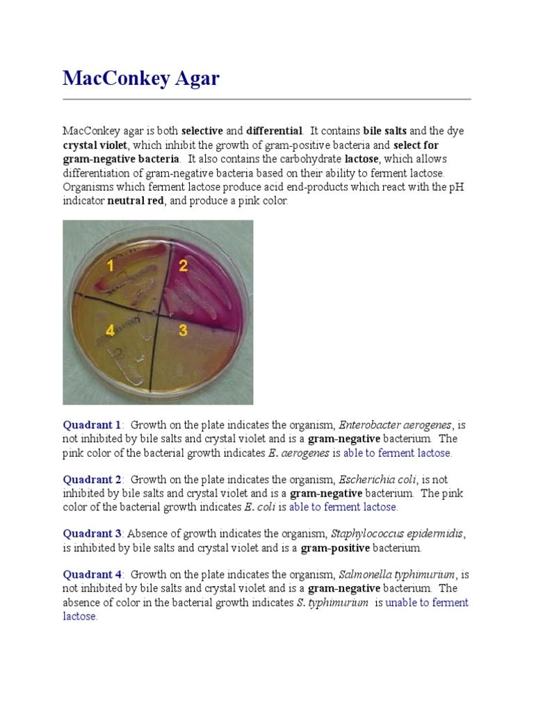 MacConkey Agar.doc | Growth Medium | Streptococcus