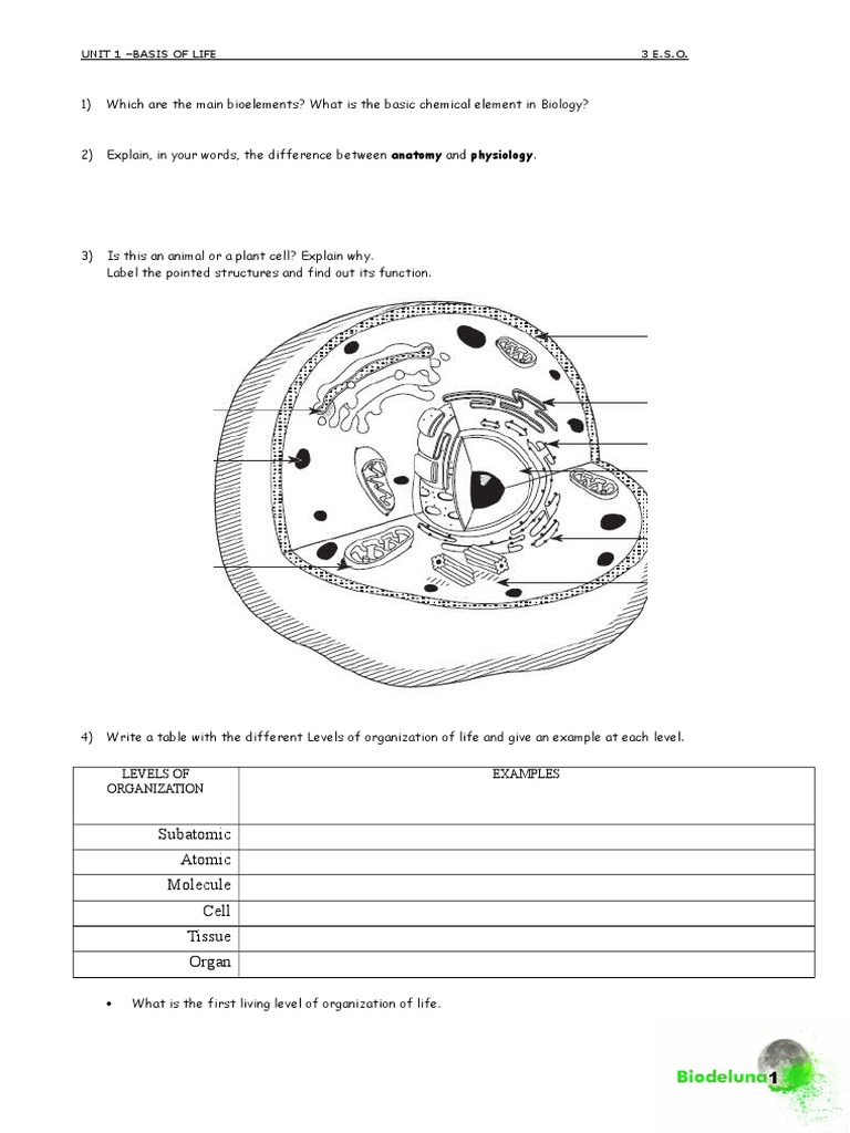 01-CP3 Cell | PDF | Osmosis | Cell (Biology)