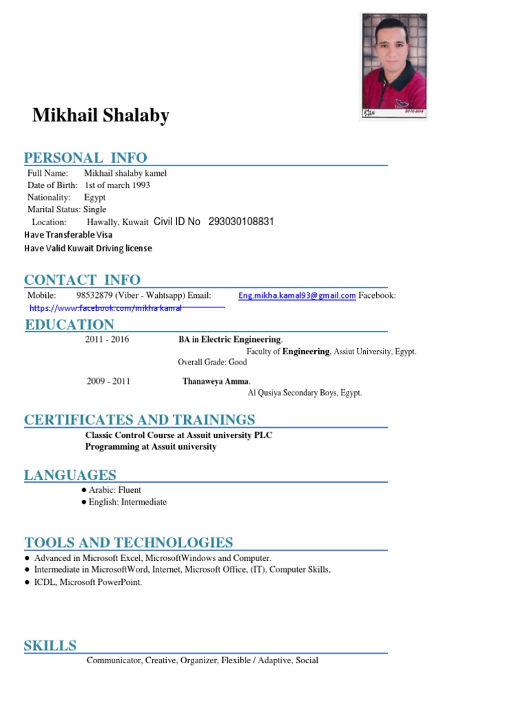 My CV | PDF | Computers | Technology & Engineering