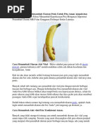 Masturbasi - Teknik Masturbasi Pria | PDF