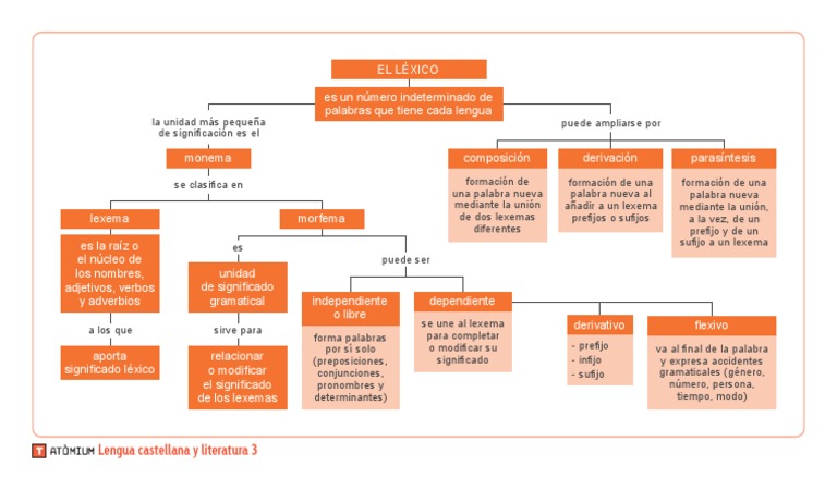 El Léxico (Definición Esquemática) 3º ESO Text-La Galera | PDF ...