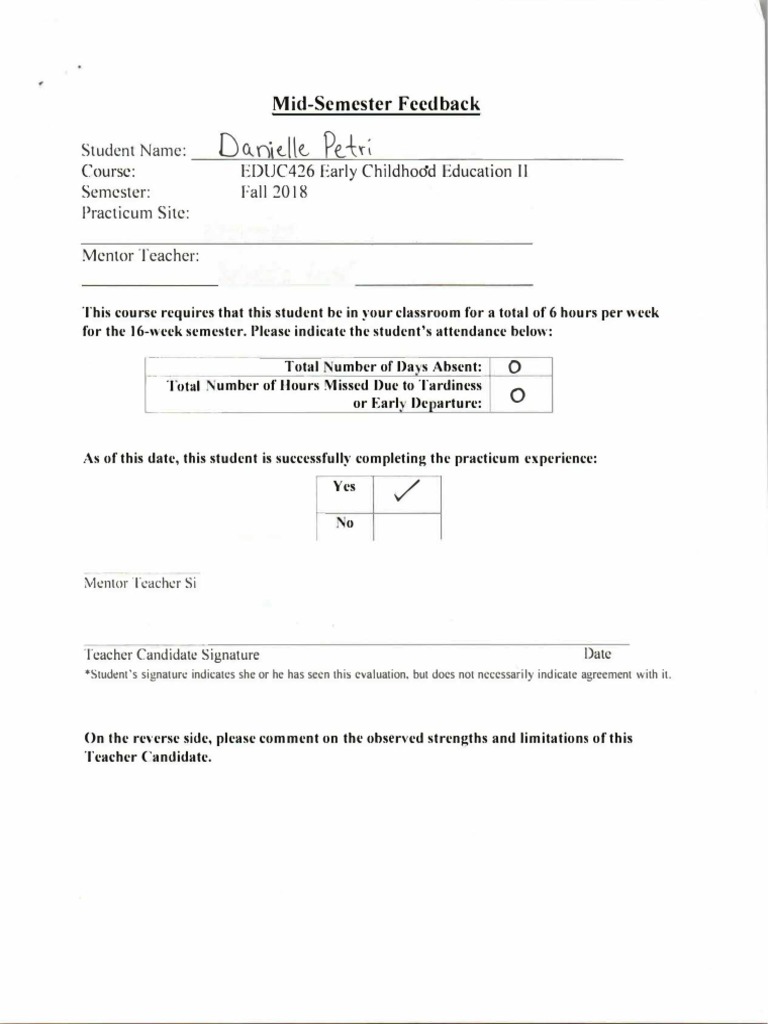 Mid-Semester Evaluation Edit | PDF