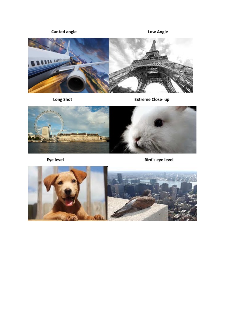 Camera Angles and Shot Types Explained | PDF