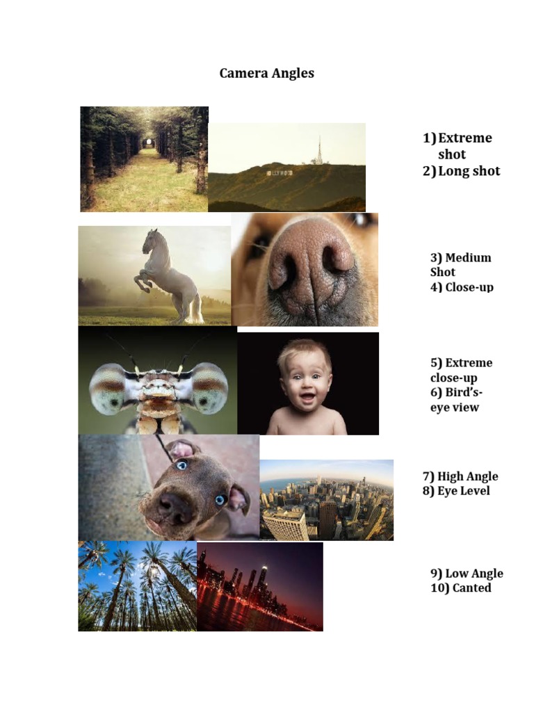 Camera Angles | PDF
