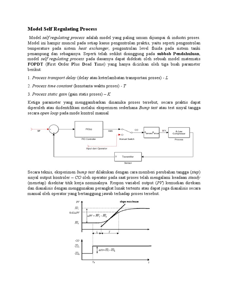 Model Self Regulating Process | PDF