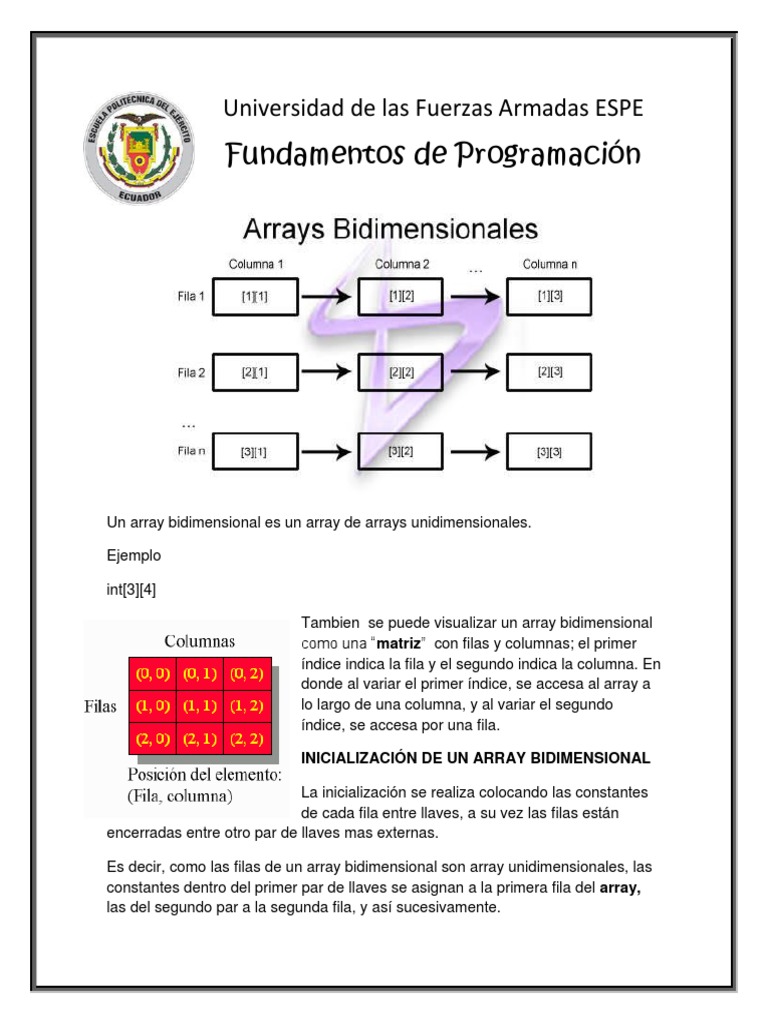 Array Bidimensionales | PDF | Estructura de datos de matriz | Puntero (Programación de computadora)