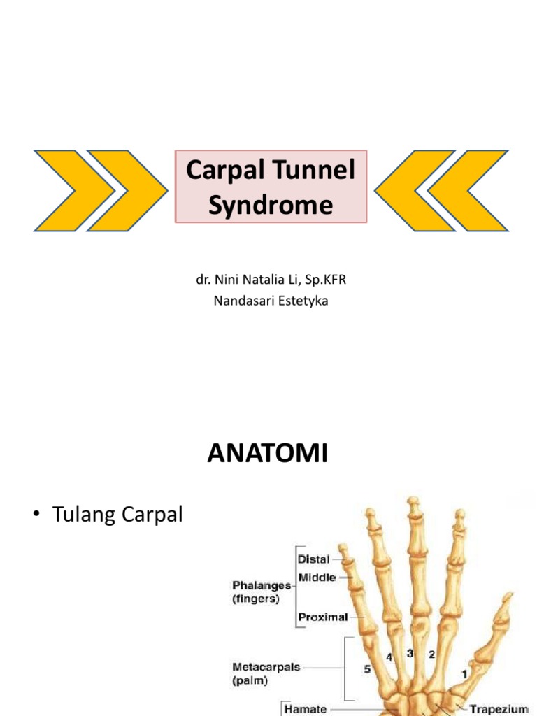 cts-pdf