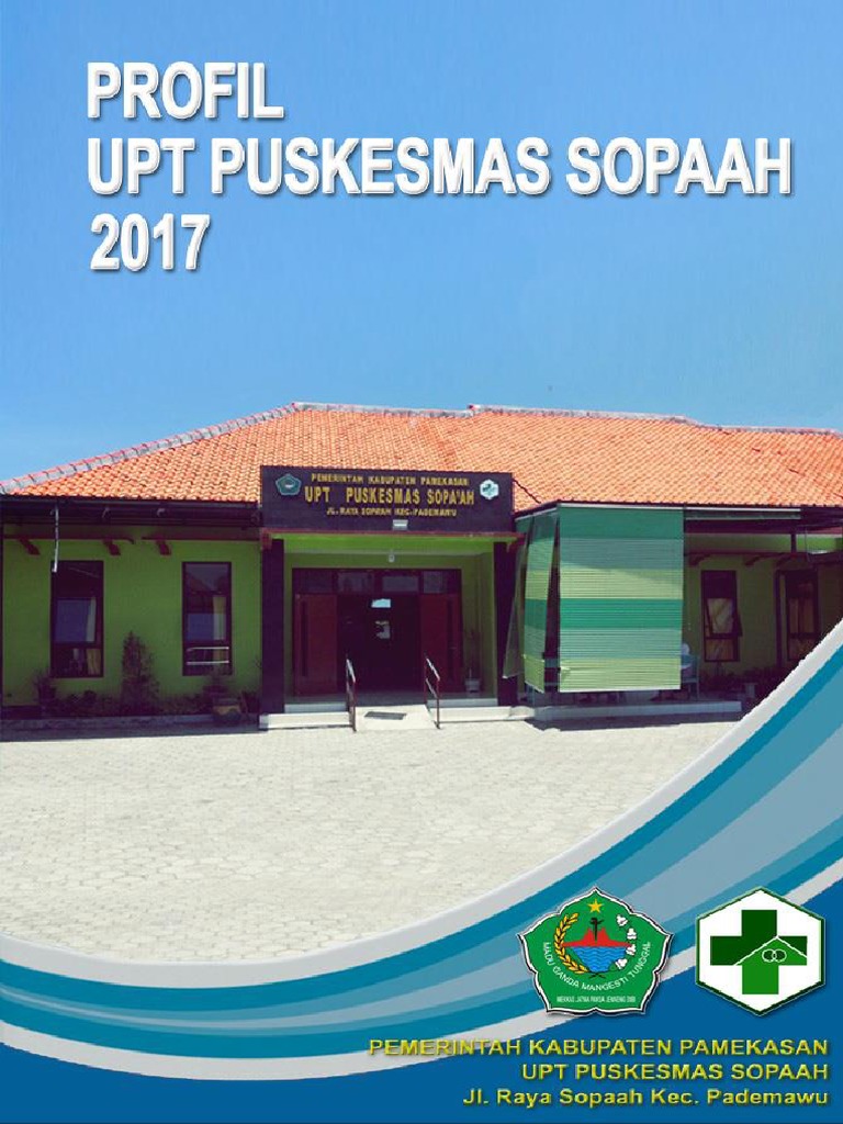 Profil Upt Puskesmas Sopaah 2017 | PDF