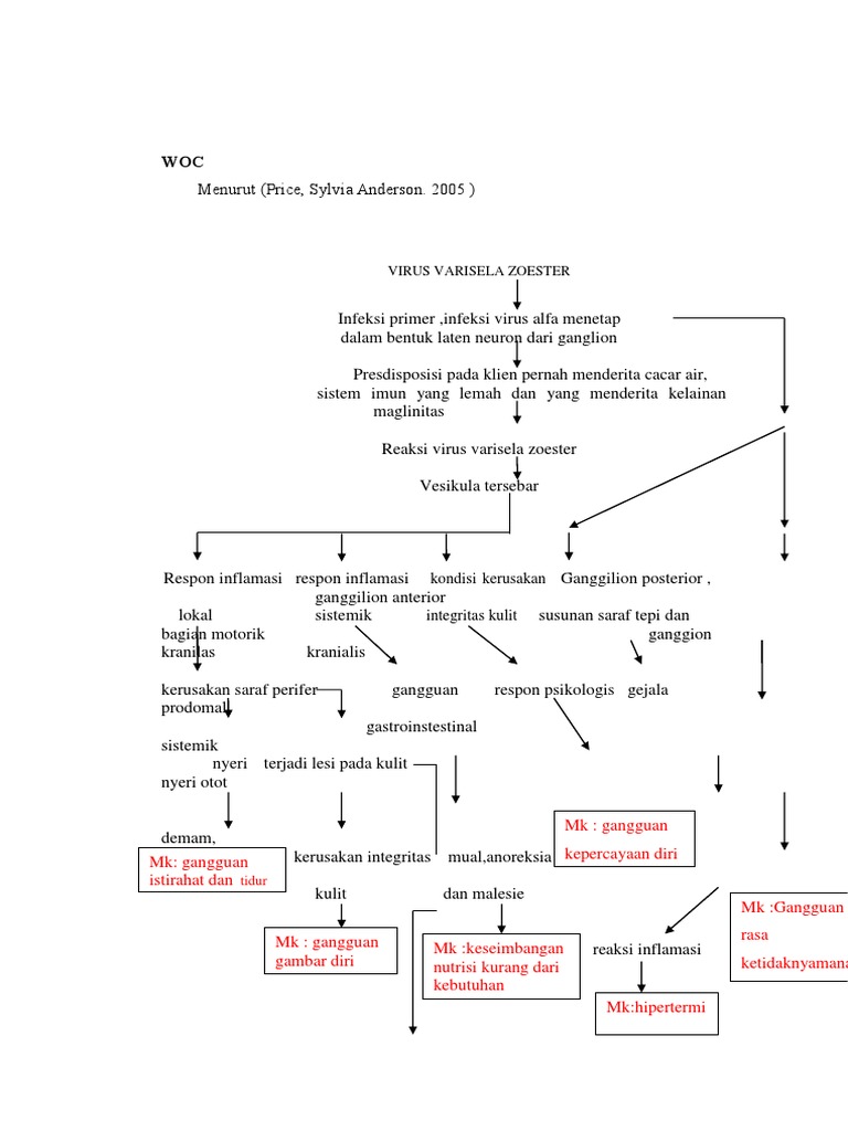 Jalur Infeksi Herpes Zoster | PDF