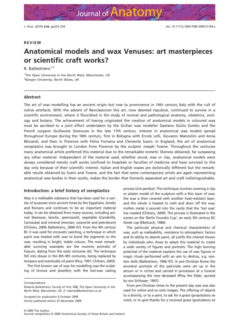 Anatomical Wax Models: Art vs. Science | PDF | Sculpture | Paintings