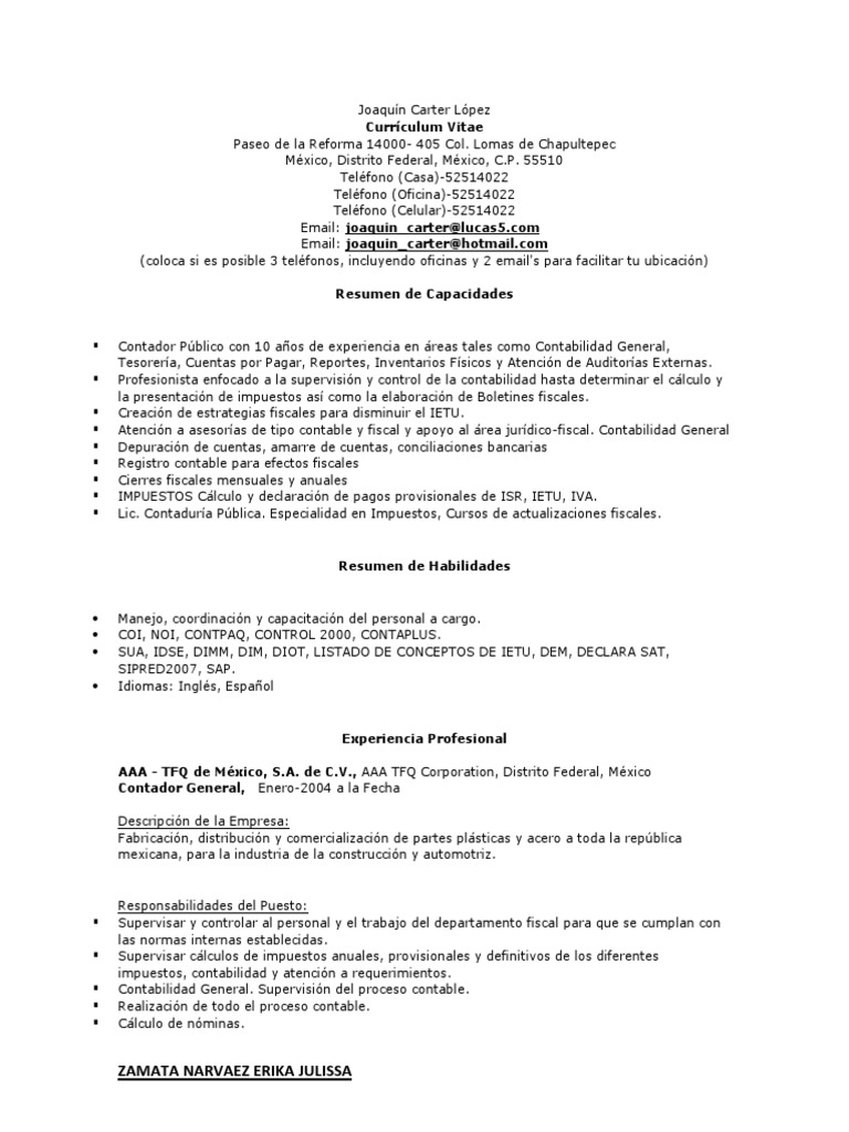 Ejemplo CV | PDF | Contador | Contabilidad
