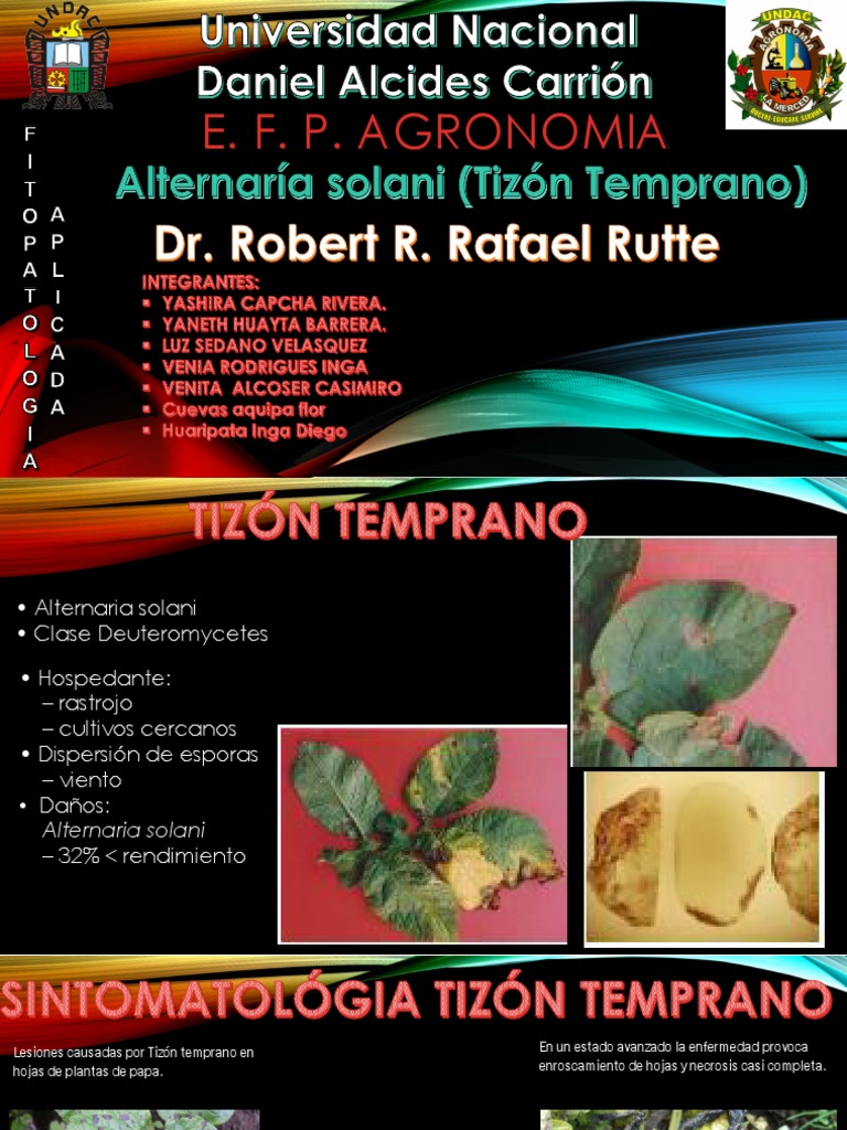 Tizon Temprano - Yashira | PDF | Hoja | Plantas