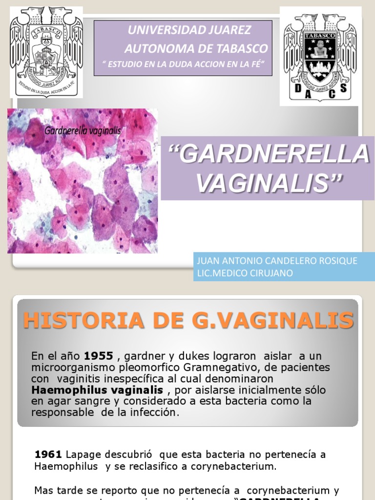 Gardnerella Vaginalis | PDF | Las bacterias | Microorganismo