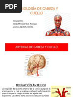 Oído Histología Para Repasar | PDF | Oído | Escuchando