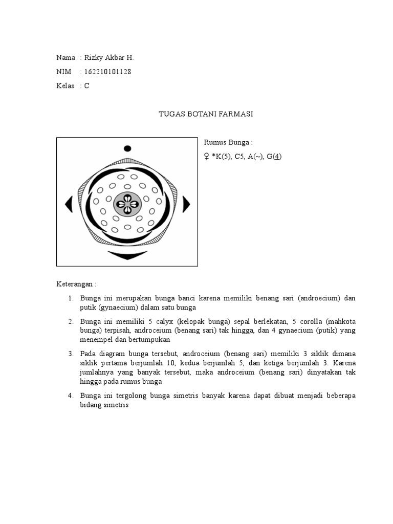 Diagram Bunga | PDF