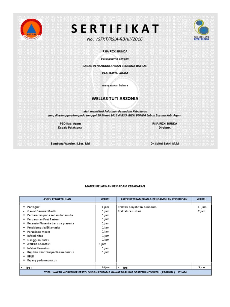 Sertifikat Damkar | PDF