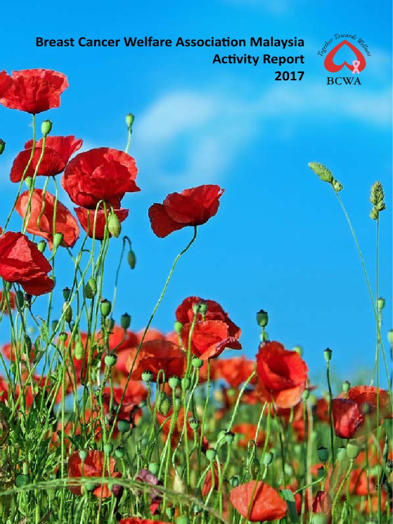 BCWA 2017 Activity Overview | PDF | Breast Cancer | Cancer Survivor