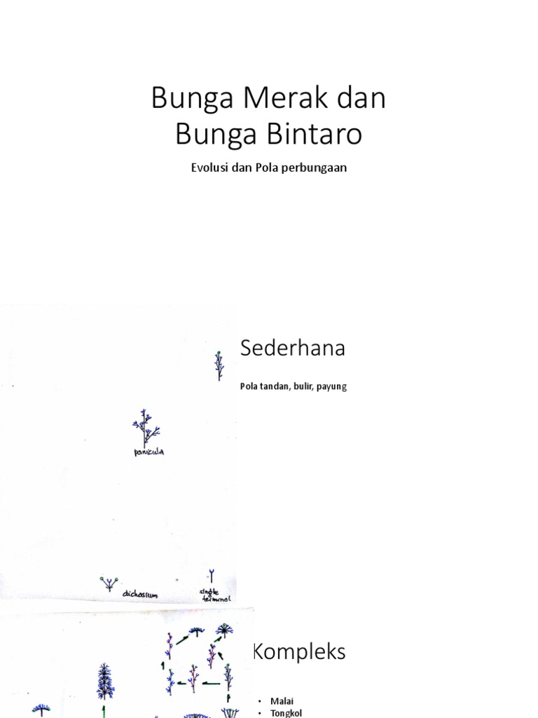 Pola Perbungaan Bunga Merak dan Bintaro | PDF | Griya & Taman | Sains ...